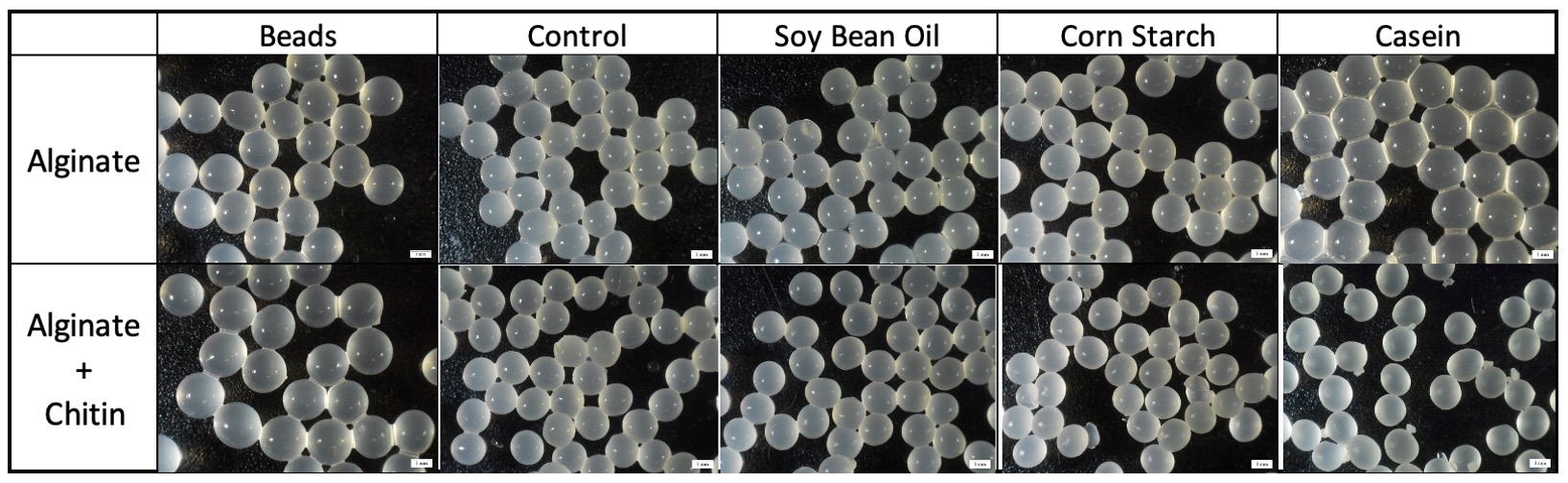 Survival of Microencapsulated Probiotic Bacteria in Dynamic ...