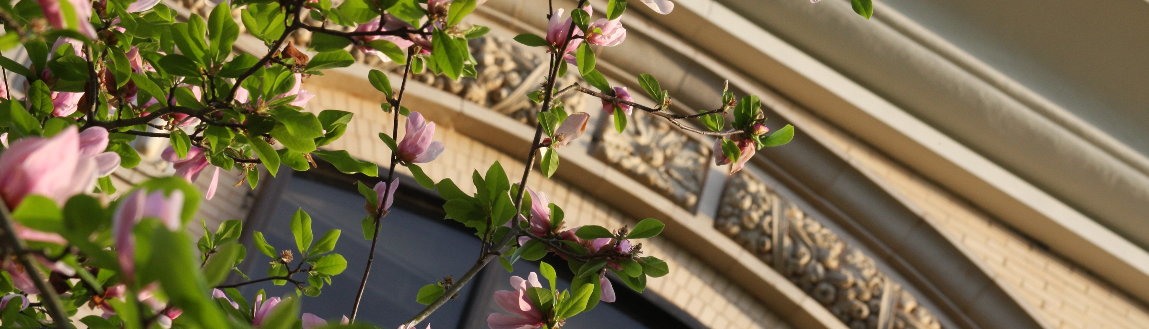 Impact Statements Database | IntraNet CAES | UGA