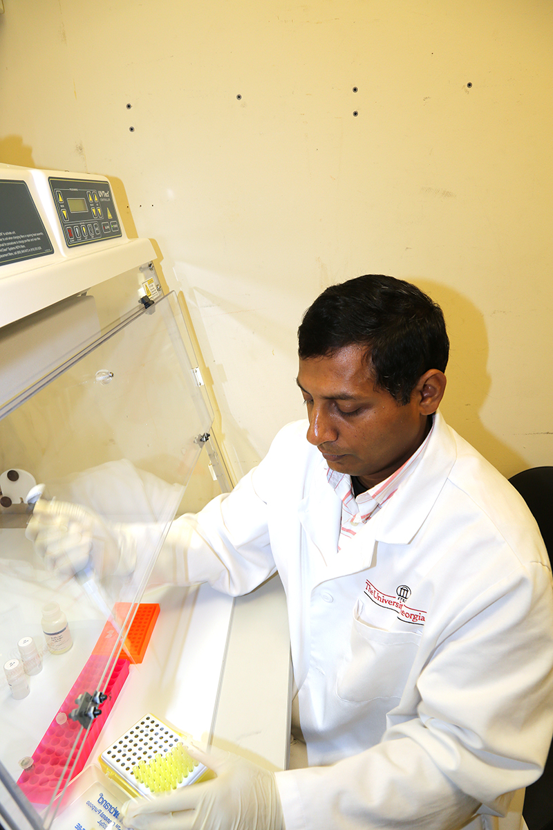 UGA lab provides quick diagnosis of plant pathogens | CAES Newswire